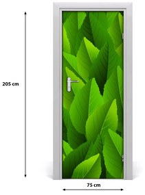 Samolepící fototapeta na dveře Zelené listí 75x205 cm