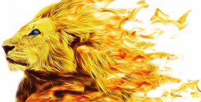 Obraz ohnivý lev Varianta: 120x60
