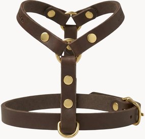 Kožený postroj pro psa Y-Harness, v různých velikostech