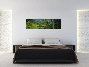 Obraz rýžových teras Tegalalang, Bali (170x50 cm)