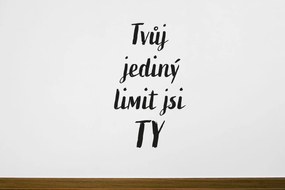 Lepy.cz Samolepka na zeď Limit jsi ty Velikost (šířka x výška): 20x35cm, Barevná varianta: Jemná růžová