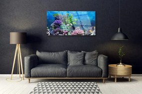 Obraz na skle Akvárium Rybičky Pod Vodou 140x70 cm