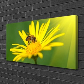 Obraz na plátně Vosa Květ Rostlina Příroda 120x60 cm