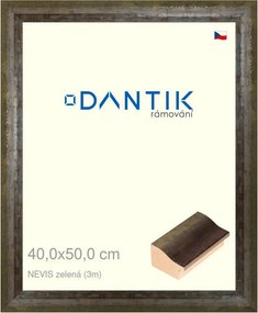 DANTIK rámeček 40x50 | NEVISzelená (Plexi Čiré)