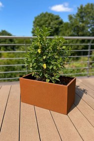 Truhlík MAXI, corten, šířka 60 cm, hnědý