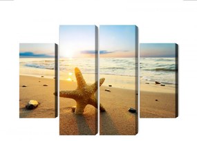 Vícedílný obraz Hvězdice Na Pláži 3D Nedostatek Nedostatek Plátno Canvas 160x120