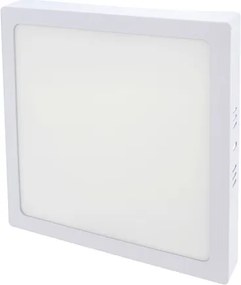 LED Stropní svítidlo LED/18W/230V 2700K 21x21 cm bílá