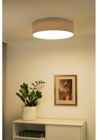 Duolla - LED Stropní svítidlo CORTINA LED/26W/230V pr. 30 cm 4000K šedá