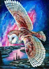 NORIMPEX Diamantové malování Letící sova / 30x40 cm