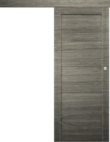 posuvné interiérové dveře na stěnu vasco doors SANTIAGO plné, model 1 Průchozí rozměr: 70 x 197 cm, Orientace dveří: Levé dveře, Dekor: Dub stříbrný