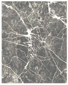 Kusový koberec Adelle - 20081-0825 šedý - 200x290cm