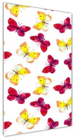 Wallmuralia Vertikální Fotoobraz na skle Barevní motýli 50x100