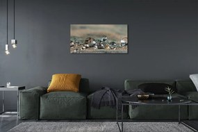 Obrazy na plátně Kapky makro materiál 120x60 cm