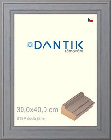 DANTIK rámeček 30x40 | STEP šedá (Plexi Čiré)