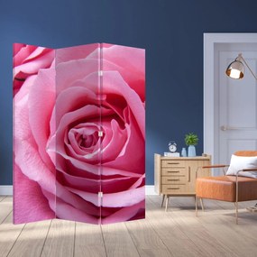 Paraván - Růže (126x170 cm)
