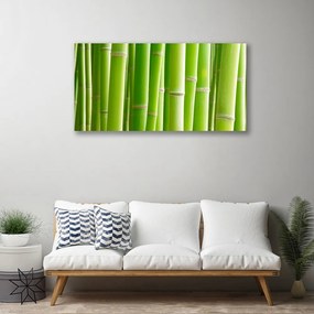 Obraz na plátně Bambus Stonek Květ Rostlina 100x50 cm