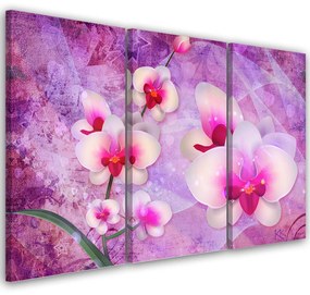 Obraz na plátně třídílný, Abstrakce orchidejí - 90x60 cm