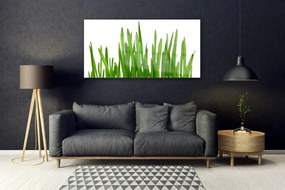 akrylový obraz Tráva 120x60 cm