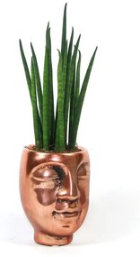 Gardners Keramický květináč hlava Nude 6 cm, bronzová