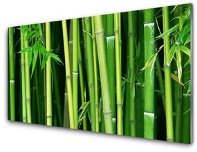 Obraz na skle Bambusový Les Bambus Příroda 100x50 cm