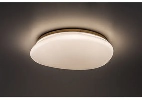 Rabalux 75053 - LED Koupel. stropní svítidlo CALIOPE LED/24W/230V IP44 pr. 41 cm