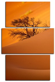 Obraz na plátně - Červené písečné duny - obdélník 7133C (90x60 cm)