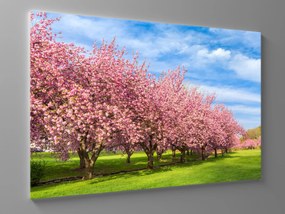 Liox Obraz růžová alej Rozměr: 150 x 100 cm