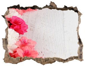 Wallmuralia Samolepící díra nálepka beton Květiny 95x64 cm