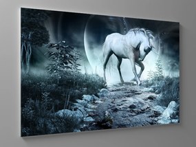 Liox Obraz jednorožec v noční krajině Rozměr: 90 x 60 cm