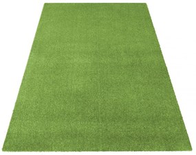Zelený jednobarevný koberec shaggy do obývacího pokoje Šířka: 120 cm | Délka: 170 cm