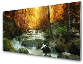 Obraz na skle Vodopád Příroda Les Podzim 100x50 cm