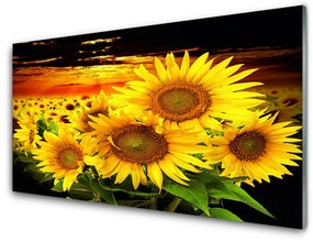 akrylový obraz Slunečnice Květ Rostlina 140x70 cm
