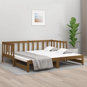 vidaXL Výsuvná postel 2x (80 x 200) cm masivní borovice [814708] Barva: medová hnědá