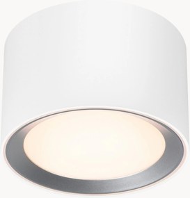 Stmívatelné stropní LED svítidlo Landon