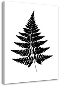 Obraz na plátně Kapradinový list černá bílá příroda - 70x100 cm
