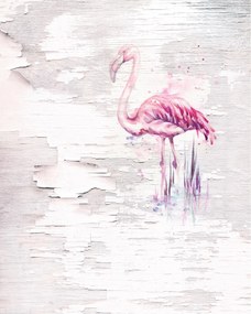 Komar Vliesová fototapeta Pink Flamingo 200 x 250 cm
