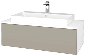 Dřevojas Koupelnová skříňka MODULE SZZ1 100 Varianta: N01 Bílá lesk / D10 Borovice Jackson