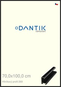 DANTIK rámeček 70x100 | ALU profil 7269 Černá lesklá (Plexi Čiré)