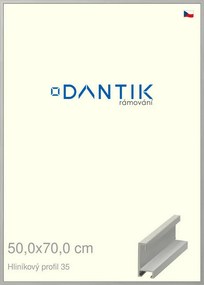 DANTIK rámeček 50x70 | ALU profil 6035 Dýha barevná šedá (Plexi Čiré)