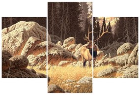 Obraz jelena (90x60 cm), 40 dalších rozměrů
