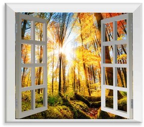 3D obraz okno ranní les Velikost (šířka x výška): 140x120 cm