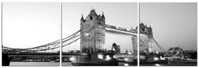 Obraz na plátně - Tower Bridge - panoráma 530ČC (90x30 cm)
