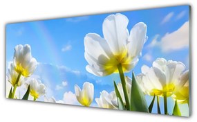 Plexisklo-obraz Rostliny Květiny Tulipány 125x50 cm