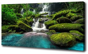 Wallmuralia Foto obraz na plátně Vodopád v džungli 100x50