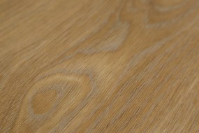 IVC Commercial, PVC podlaha - lino Logitex Ultimate 55 Elias T44, na míru, šíře 2m,4m, hnědá, filc, chodba / předsíň