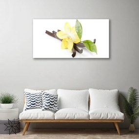 akrylový obraz Vanilka Listy Rostlina 100x50 cm