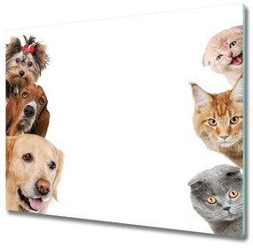 Skleněná krájecí deska Psi a kočky