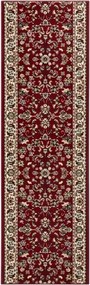 Hanse Home, Běhoun Basic 102487, 80x300, červená, chodba / předsíň