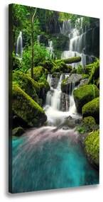 Wallmuralia Vertikální Foto obraz na plátně Vodopád v džungli 50x100