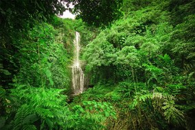 Obraz vodopád v lese Velikost (šířka x výška): 90x60 cm